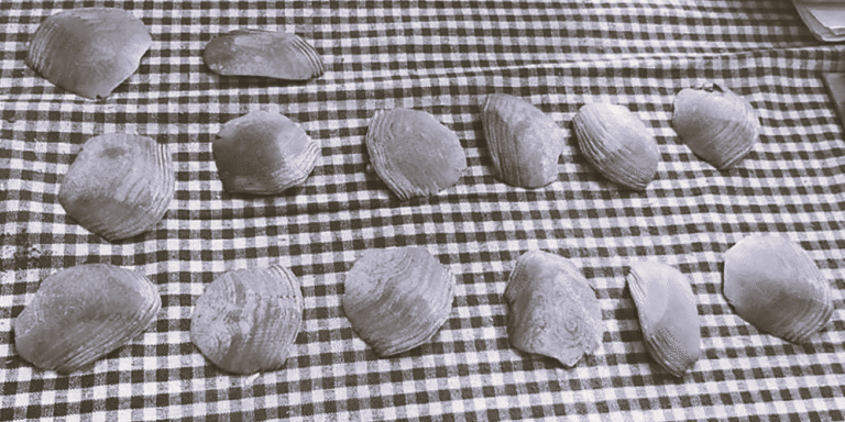 Nuapada District Collector Honoured with National Award for Election ...